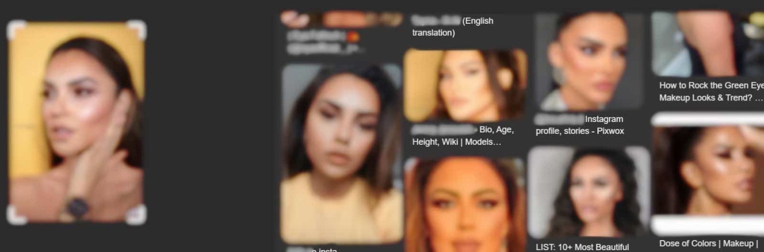 6 Yandex Image Search Alternatives for Face Search - ProFaceFinder ...
